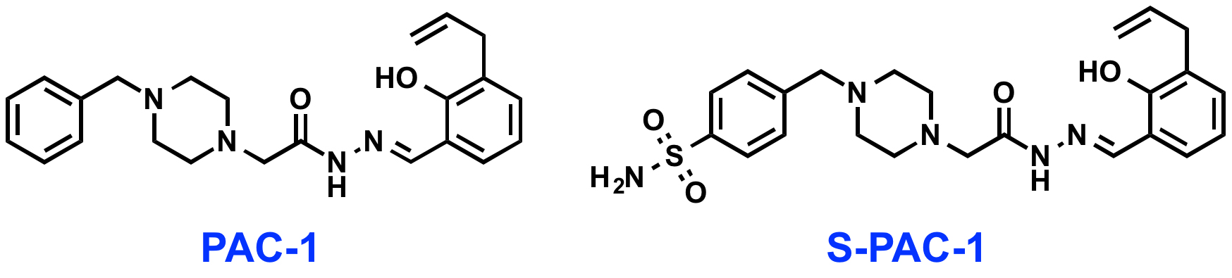 Procaspase-3 Activation – Hergenrother Lab