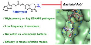 Publications – Hergenrother Lab