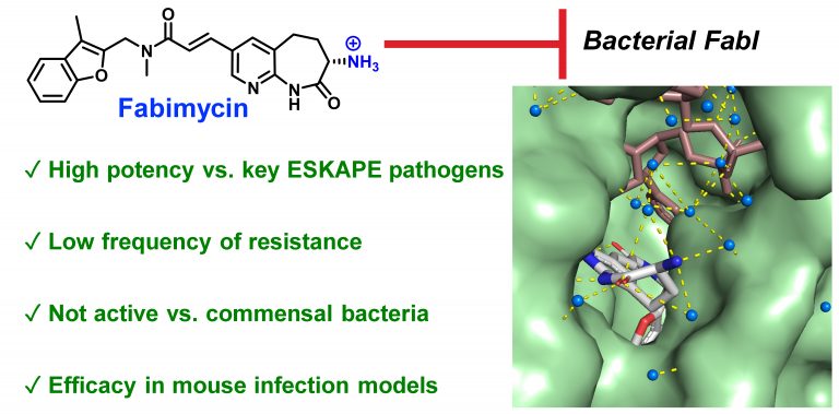 Publications – Hergenrother Lab
