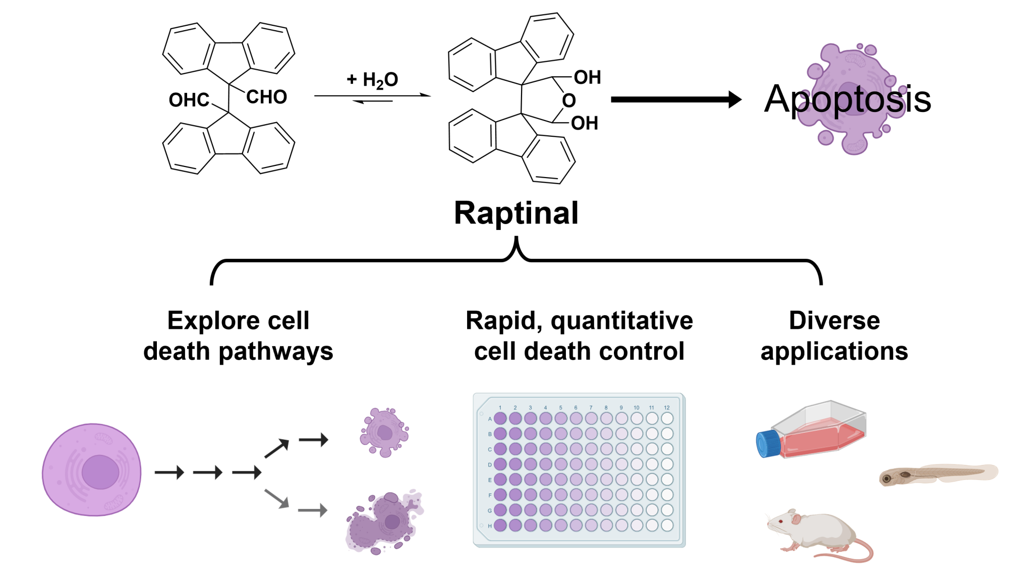 Publications – Hergenrother Lab