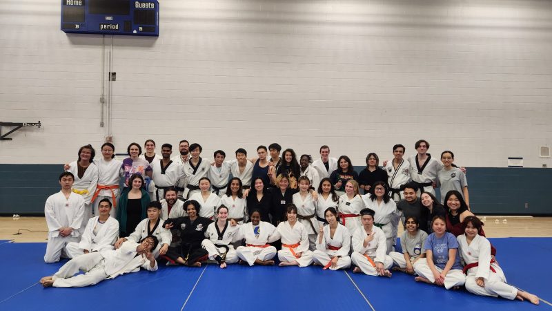 Illini World Taekwondo – Learn about the art and sport of Taekwondo at ...