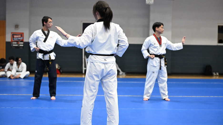 Poomsae Team | Illini World Taekwondo | Illinois