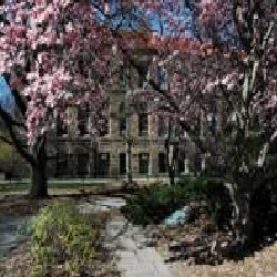 University Pic | Illinois Administrative Professionals - University of ...