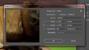Tips on Resizing Images | Image of Research - University of Illinois at ...