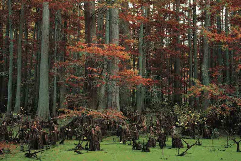 Natural Divisions – INHS Environmental Education