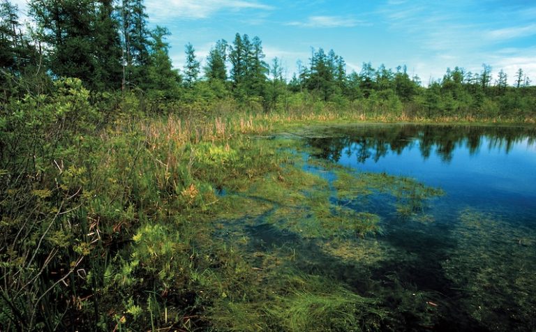 Natural Divisions – INHS Environmental Education