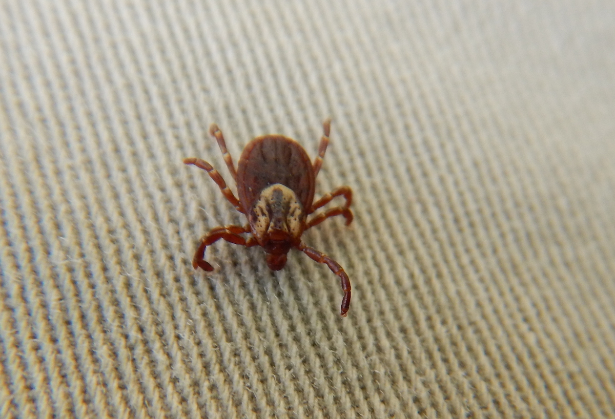 Impacts of Climate Change – INHS Environmental Education