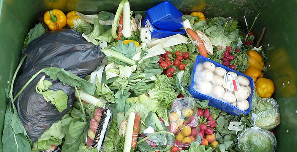 What Can You Do? – INHS Environmental Education