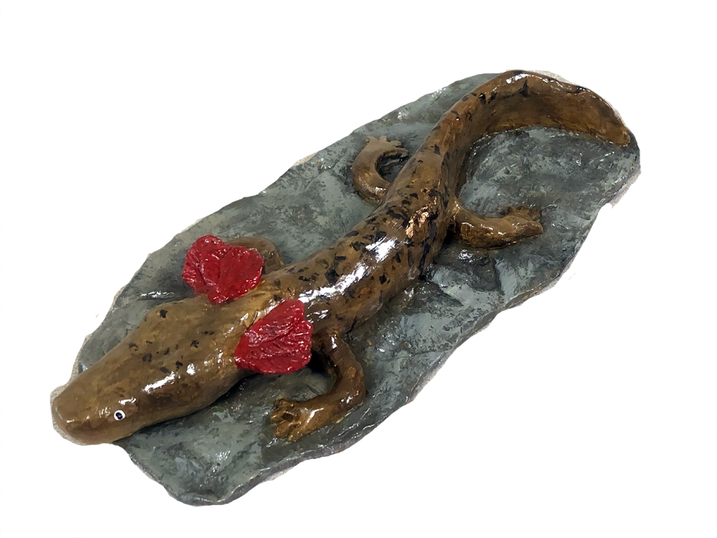 Educational Materials – INHS Environmental Education