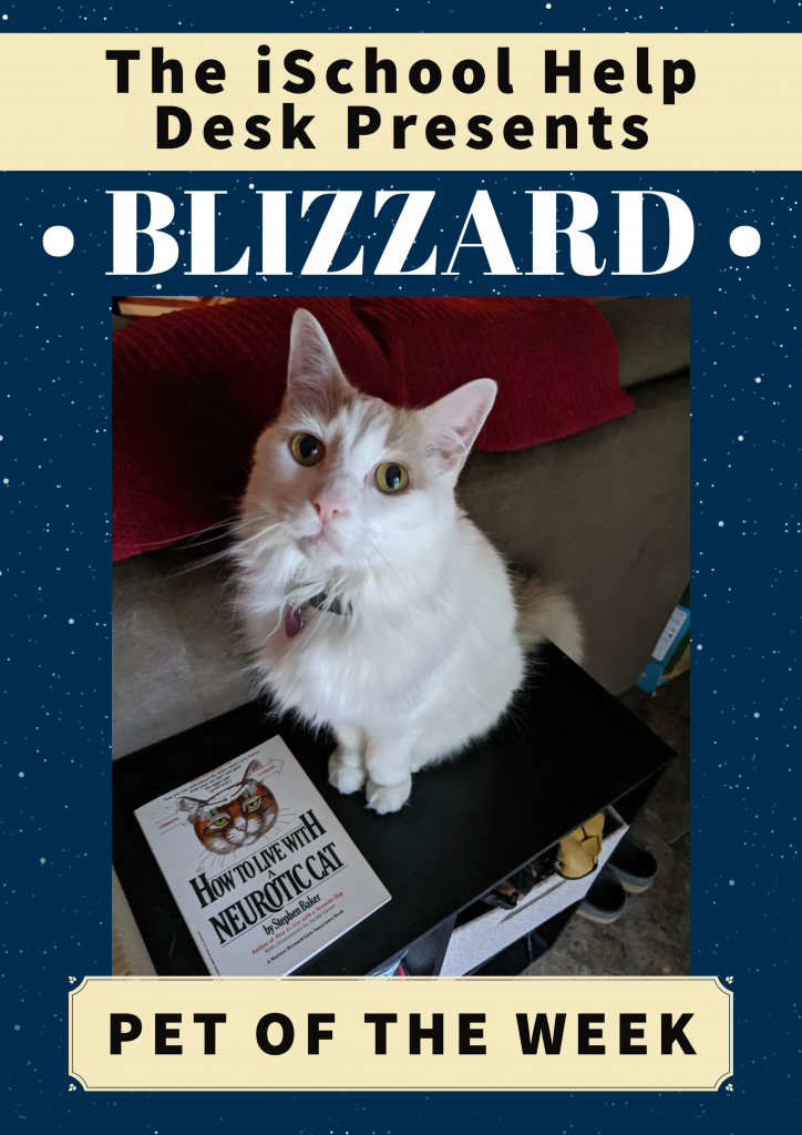 neurotic cats – iSchool Help Desk