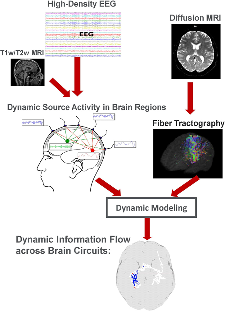 Research – Illinois-Carle Joint Neural Engineering and Rehabilitation ...
