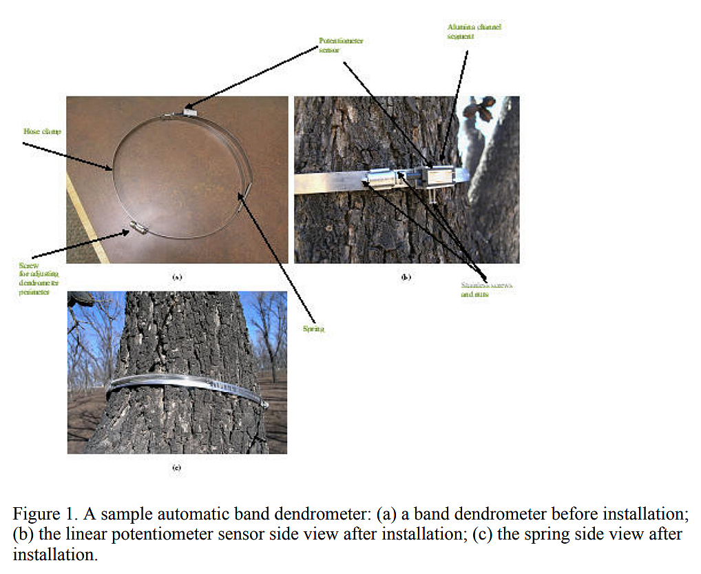 Automated Dendrometer | Dr. Junming Wang's Atmospheric Science Group ...