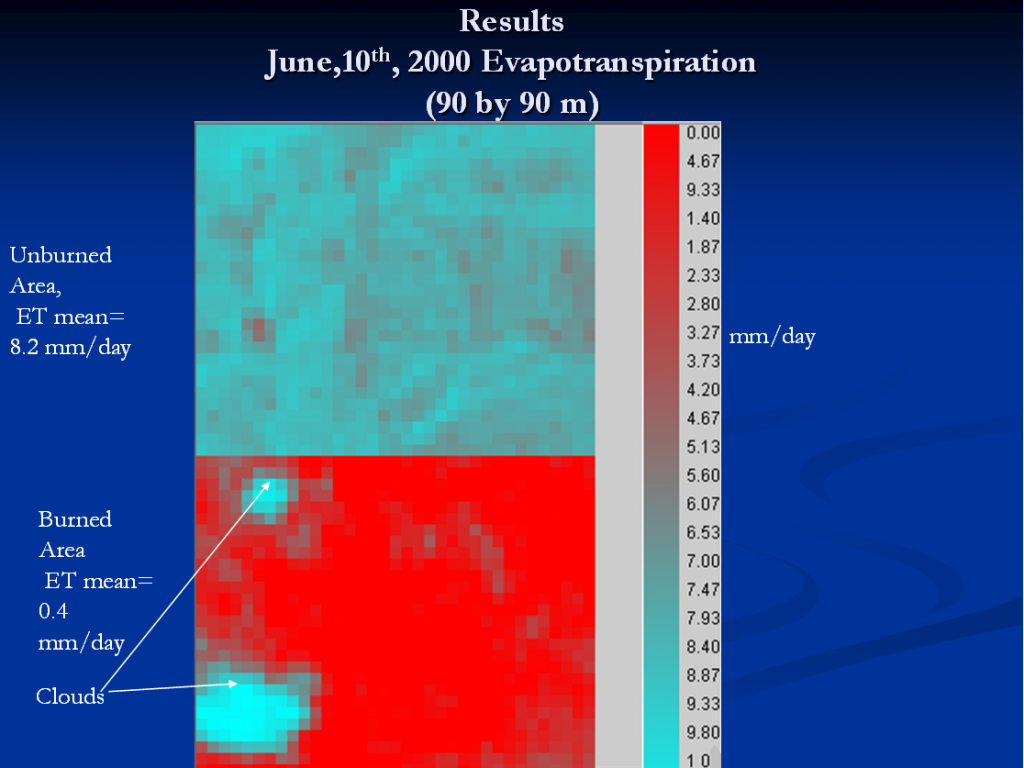 Vegetation Recovery | Dr. Junming Wang's Atmospheric Science Group ...