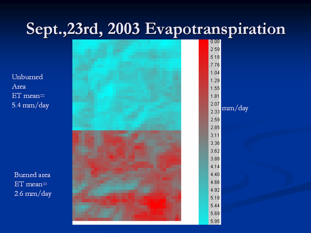 Vegetation Recovery | Dr. Junming Wang's Atmospheric Science Group ...