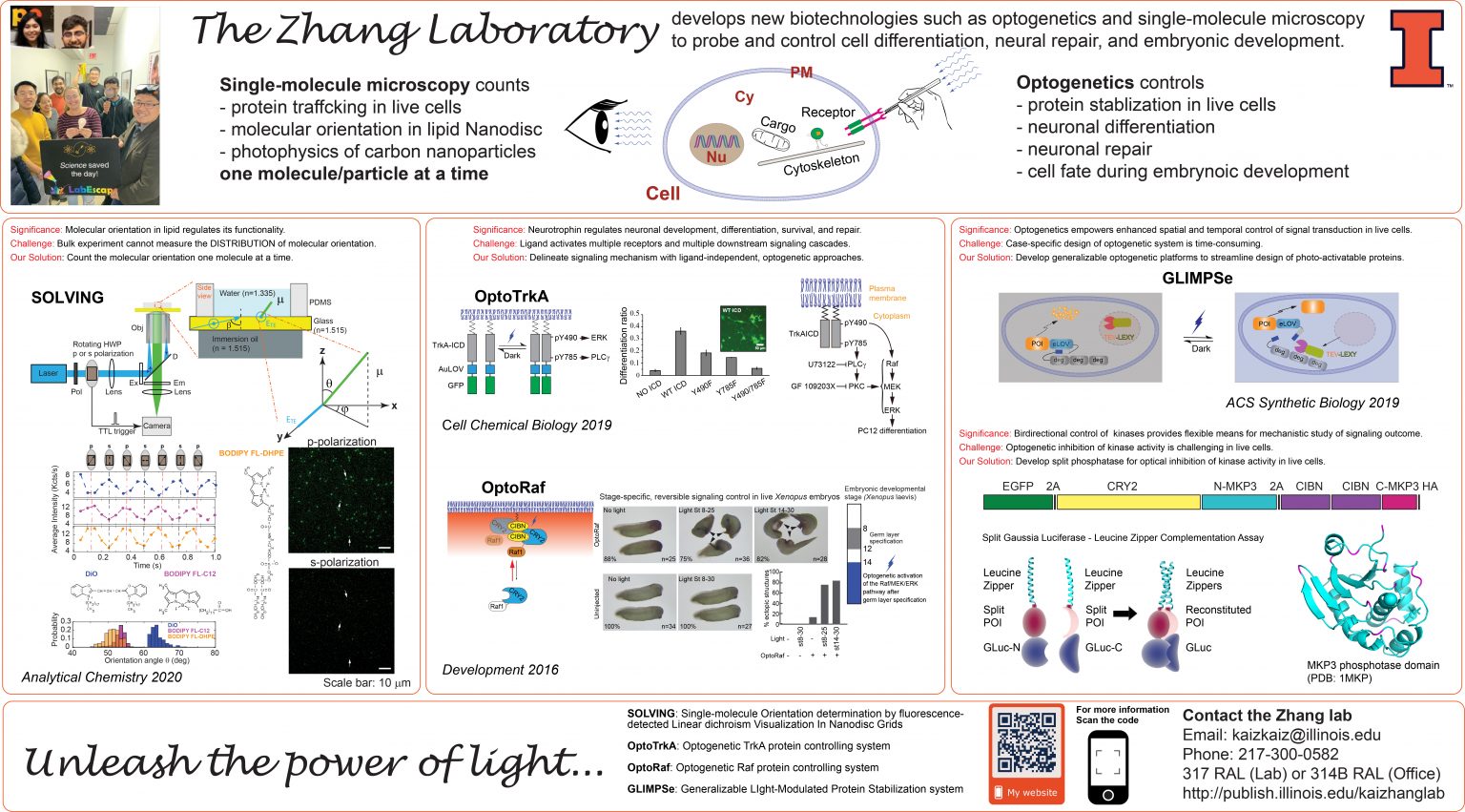 Research | The Zhang Lab - University of Illinois at Urbana-Champaign