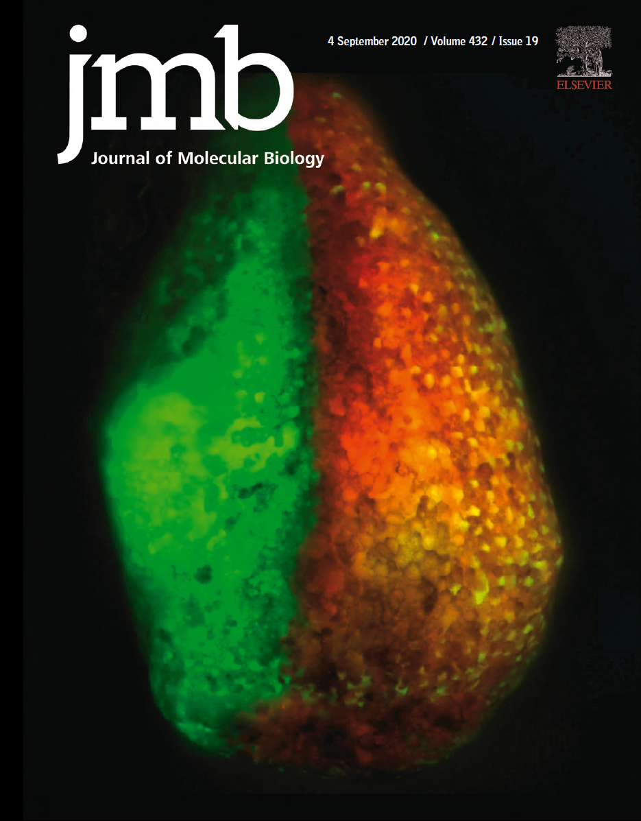 Publication | The Zhang Lab - University of Illinois at Urbana-Champaign