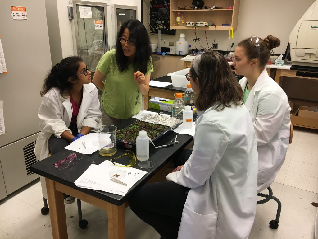 News & Events – Chen Lab