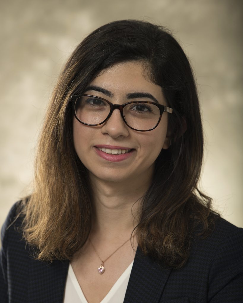 Setare Hajarolasvadi – Mechanics of Complex Systems