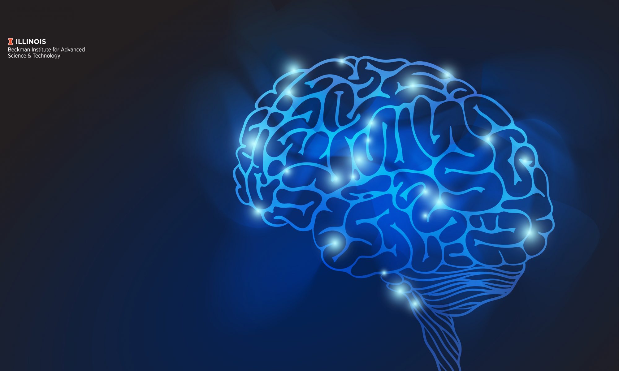 Miniature Brain Machinery – Understanding the Brain: Training the Next ...