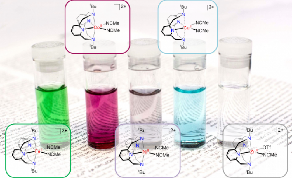 The Mirica Group | Inorganic, Organometallic, and Chemical Biology ...