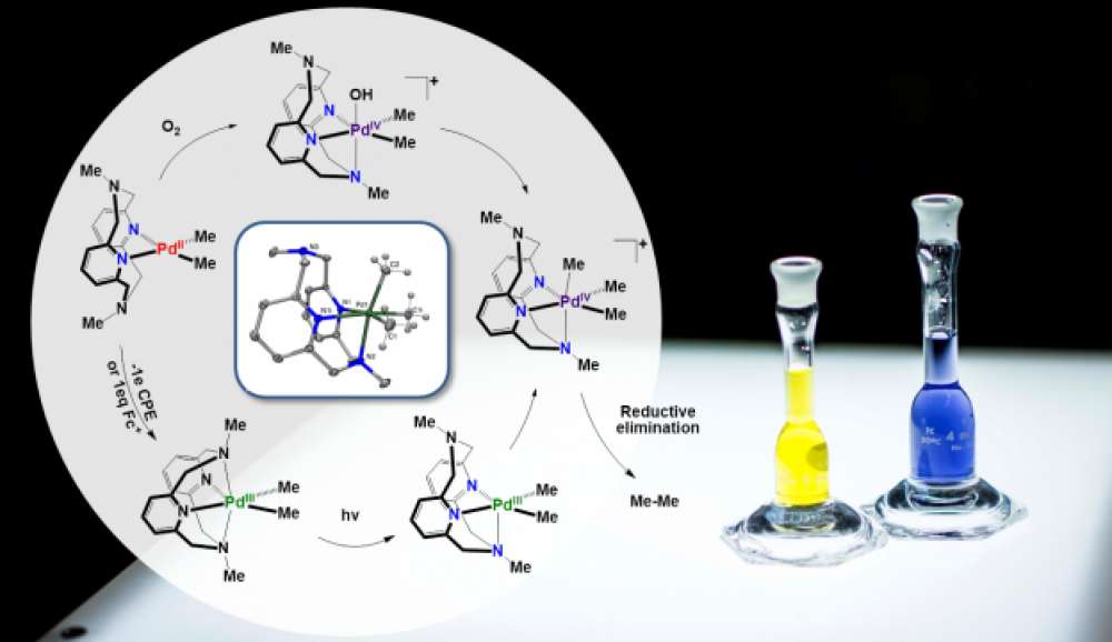 The Mirica Group | Inorganic, Organometallic, and Chemical Biology ...