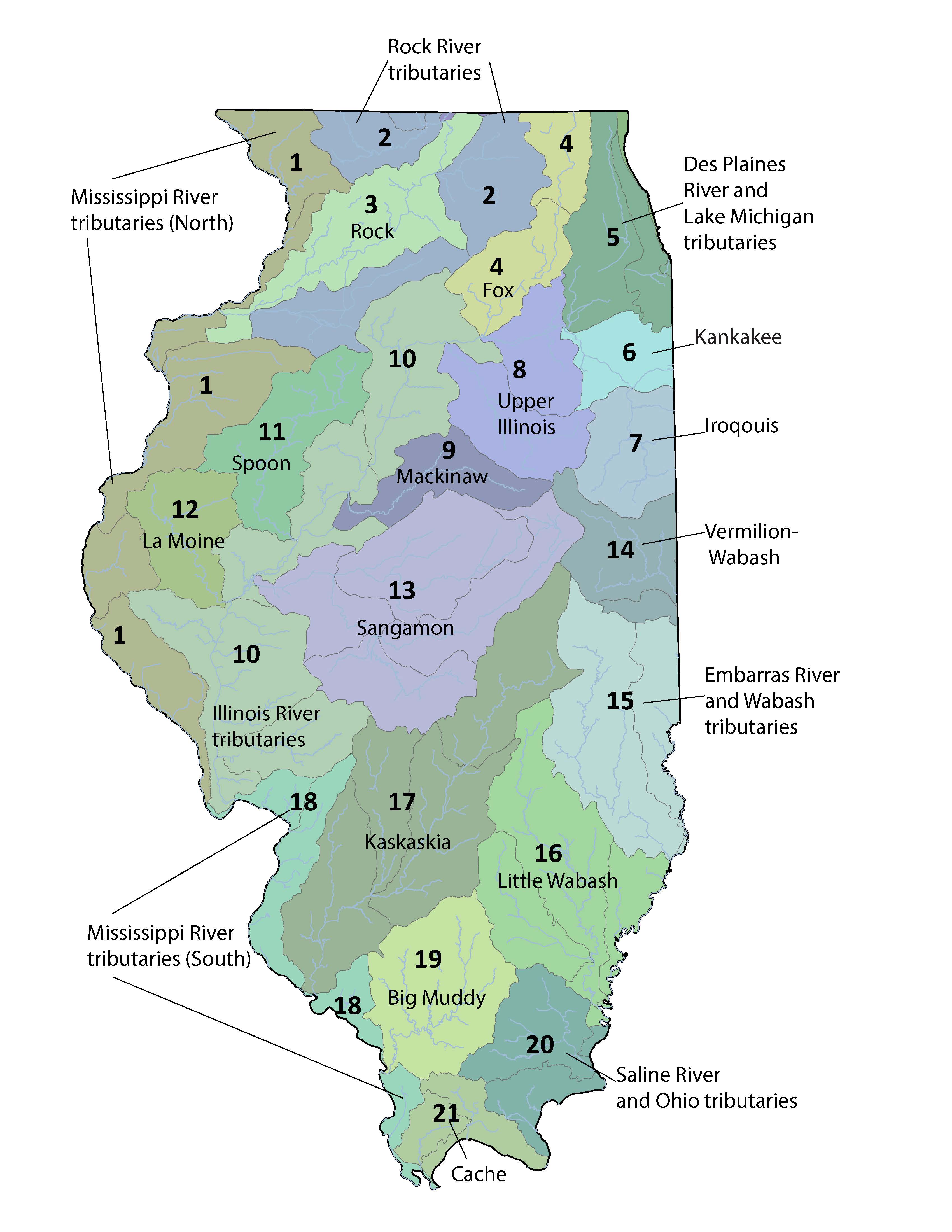 Investigating Mussel Communities in Wadeable Streams of Illinois – INHS ...