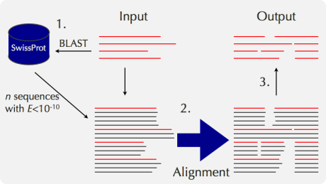 MAFFT Software | Multiple Sequence Alignment Methods Evaluation Project