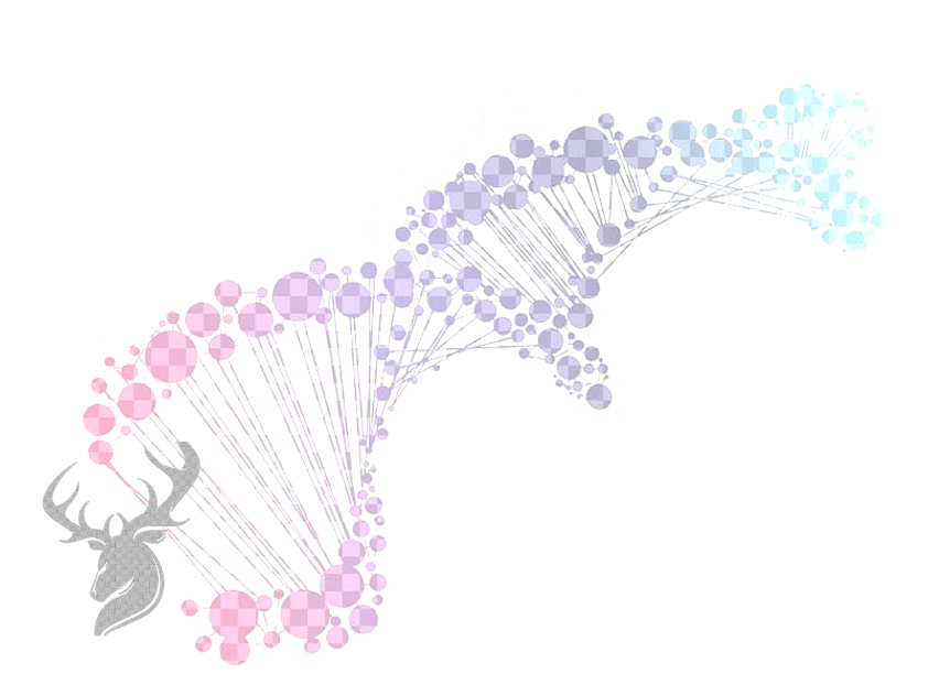 Projects | Mateus & Novakofski Chronic Wasting Disease Collaborative Labs