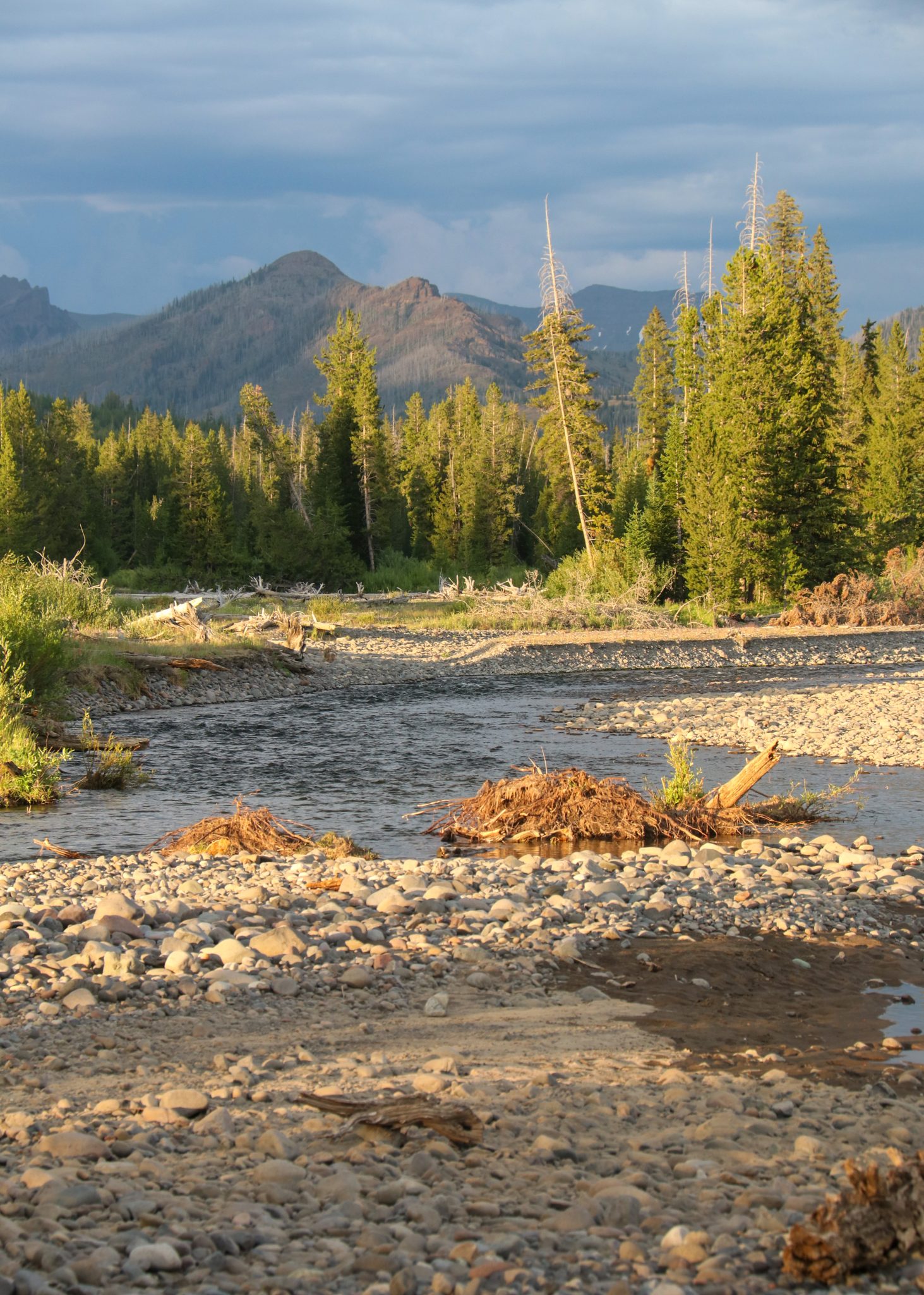 Yellowstone backcountry campsites | Robert Pahre at Illinois ...