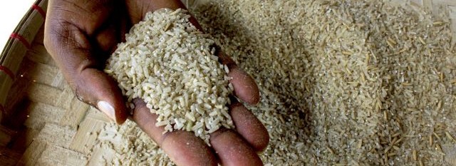 Home | Preventing Postharvest Loss