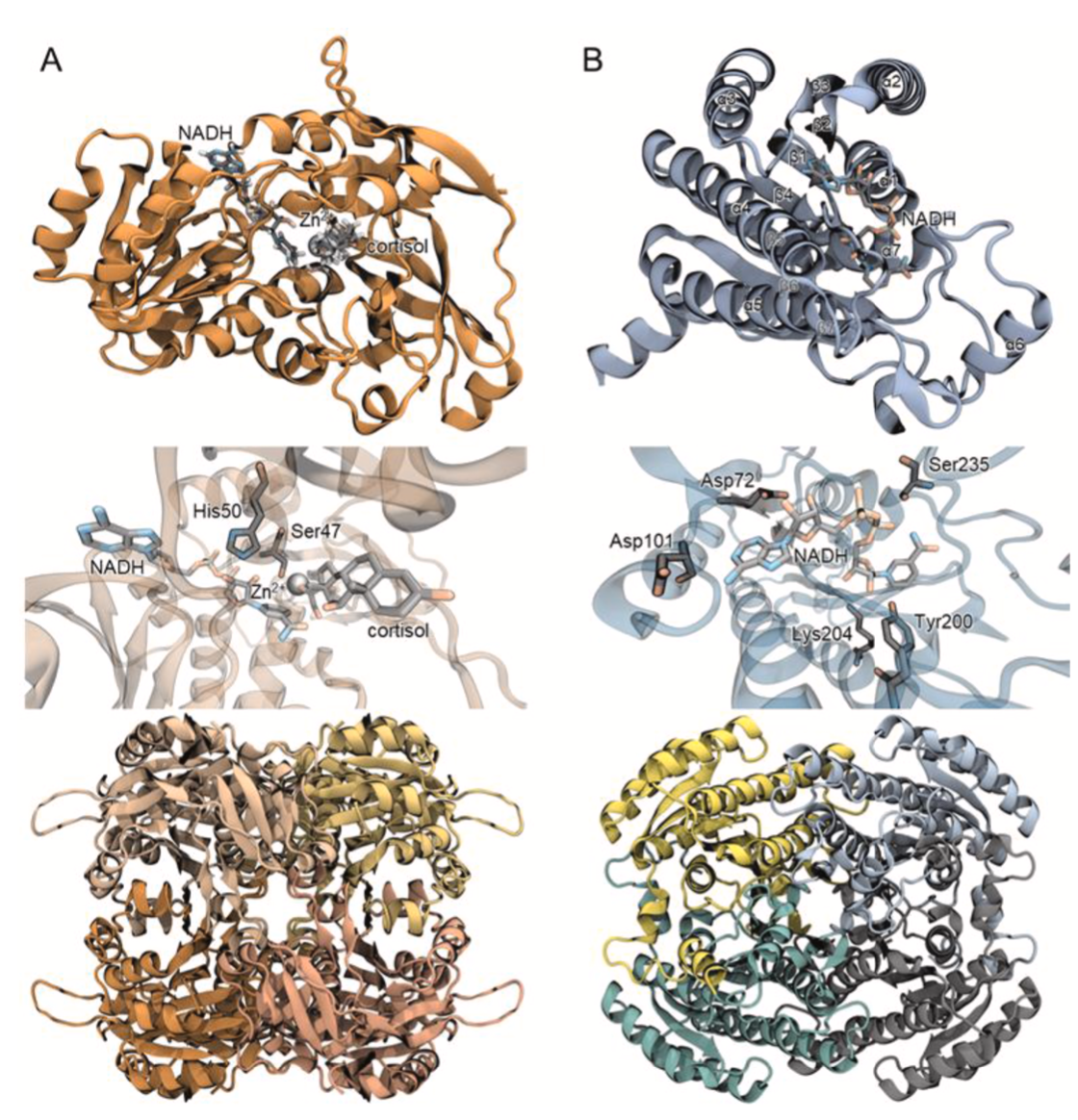 MICROBIOME & STEROID METABOLISM | The Sterolbiome Laboratory