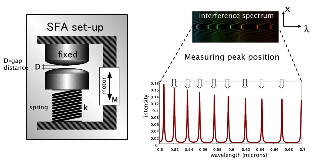 Nanoconfinement of Liquids | Espinosa-Marzal Lab