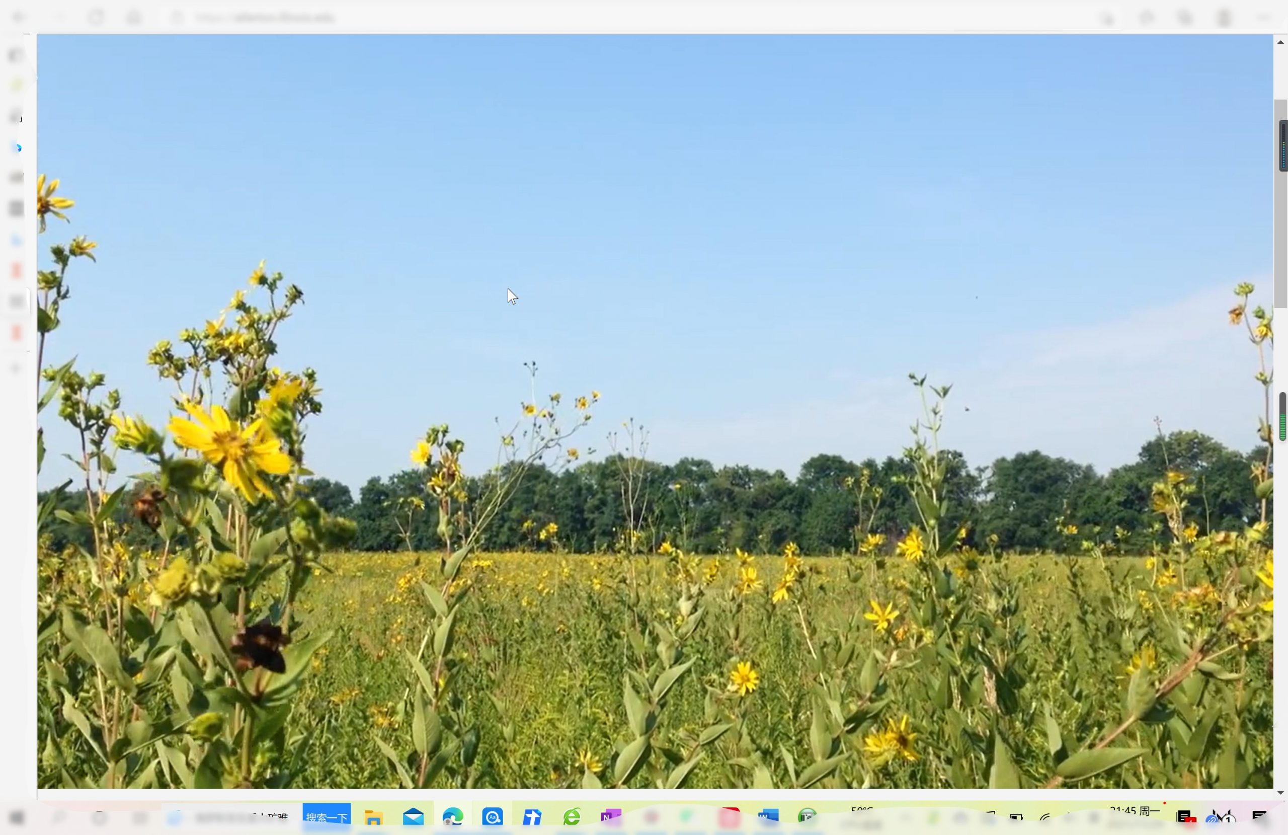 Allerton – Park & Retreat Center 和另外 8 个页面 – 个人 – Microsoft Edge ...