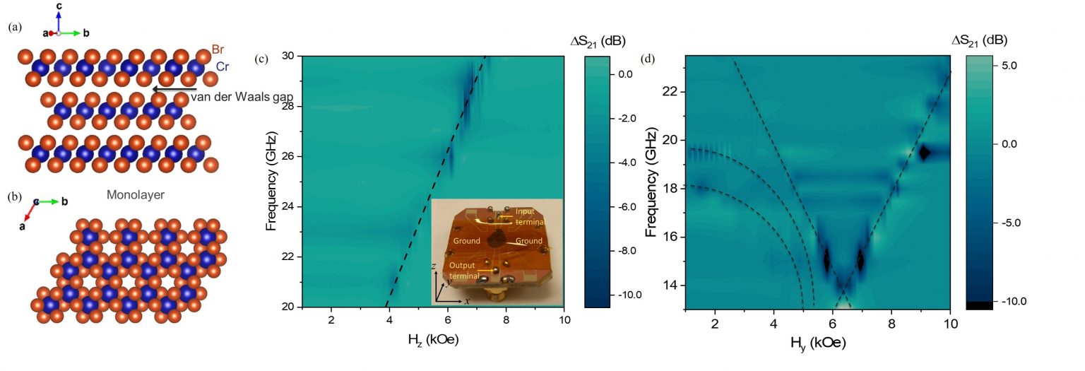 Antiferromagnetic Spintronics – Saima Siddiqui