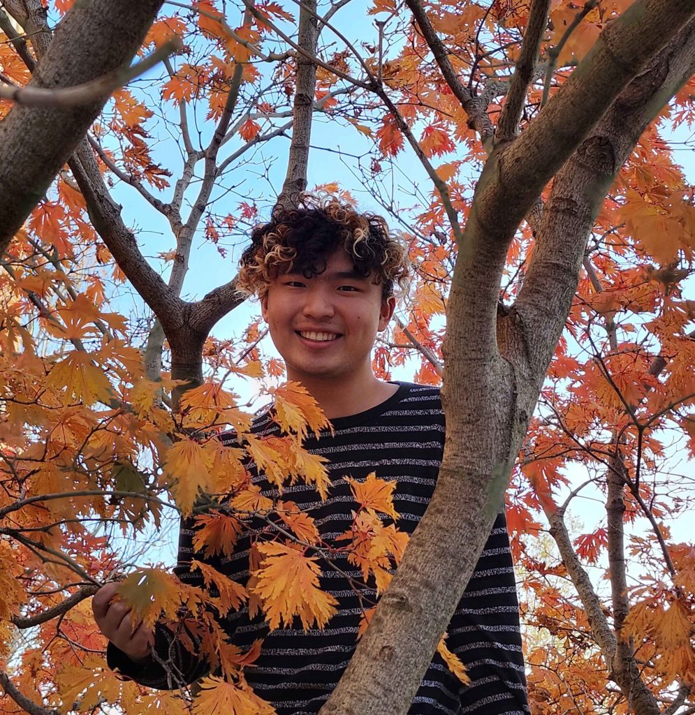 Ryan C. Chow – Schoetz Electrochemistry Laboratory
