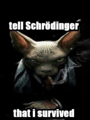 Memes | Society of Physics Students | The Grainger College of ...