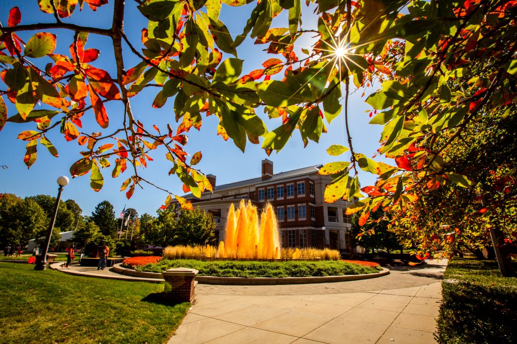 Current Board Members – Student Success Undergraduate Advisory Board