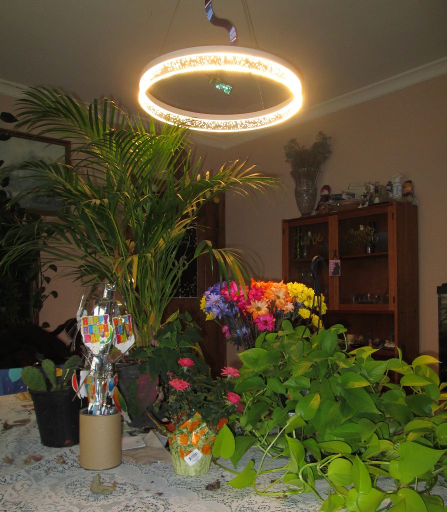 Energy Efficiency | Optimizing Environmental Footprint