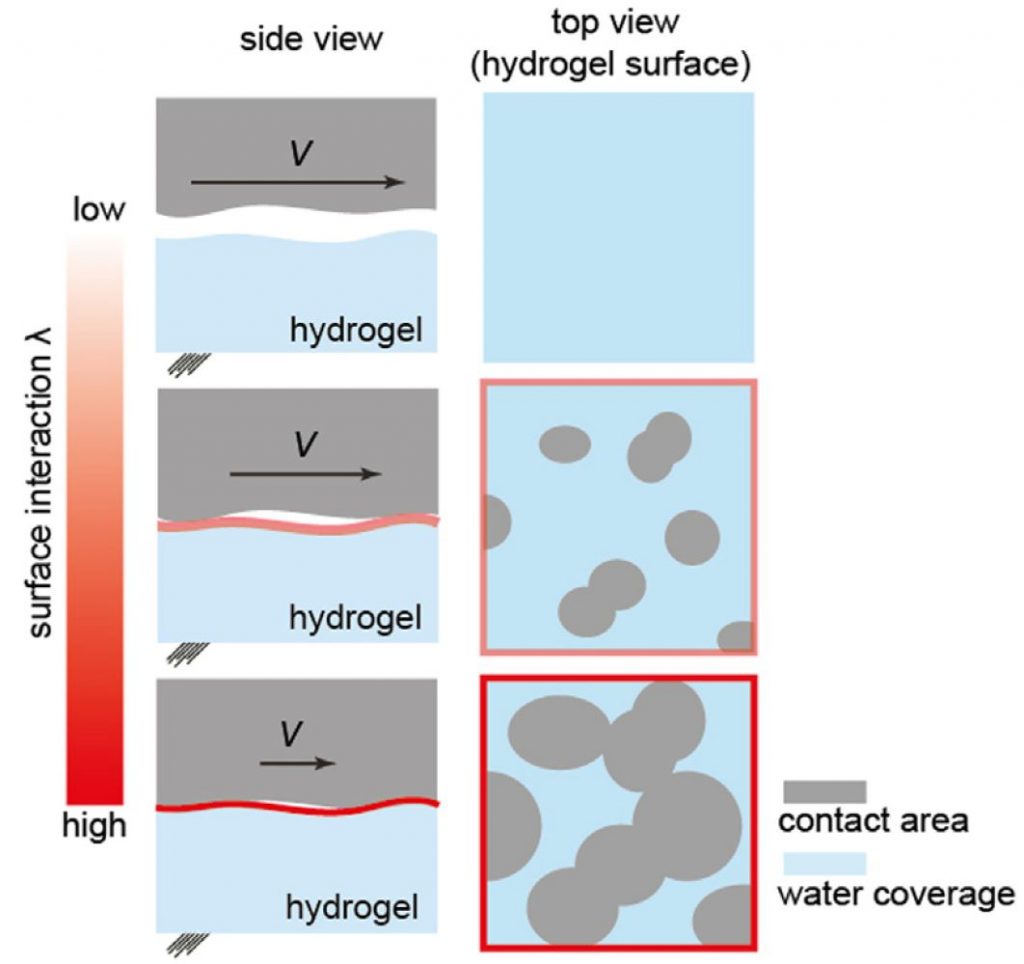 New paper out: Generalized model linking rheology and soft matter ...