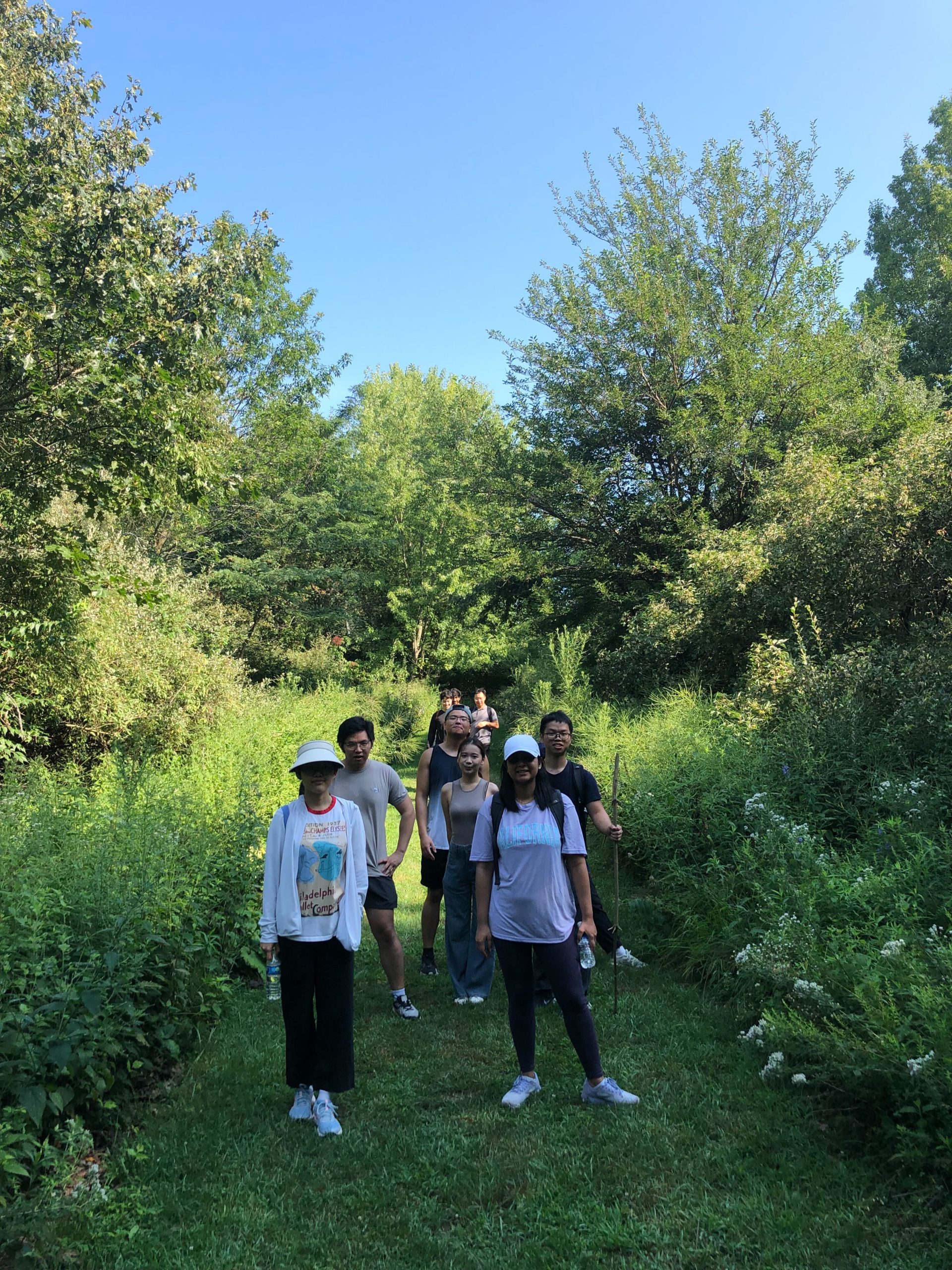 Lab Activity Wang Research Lab