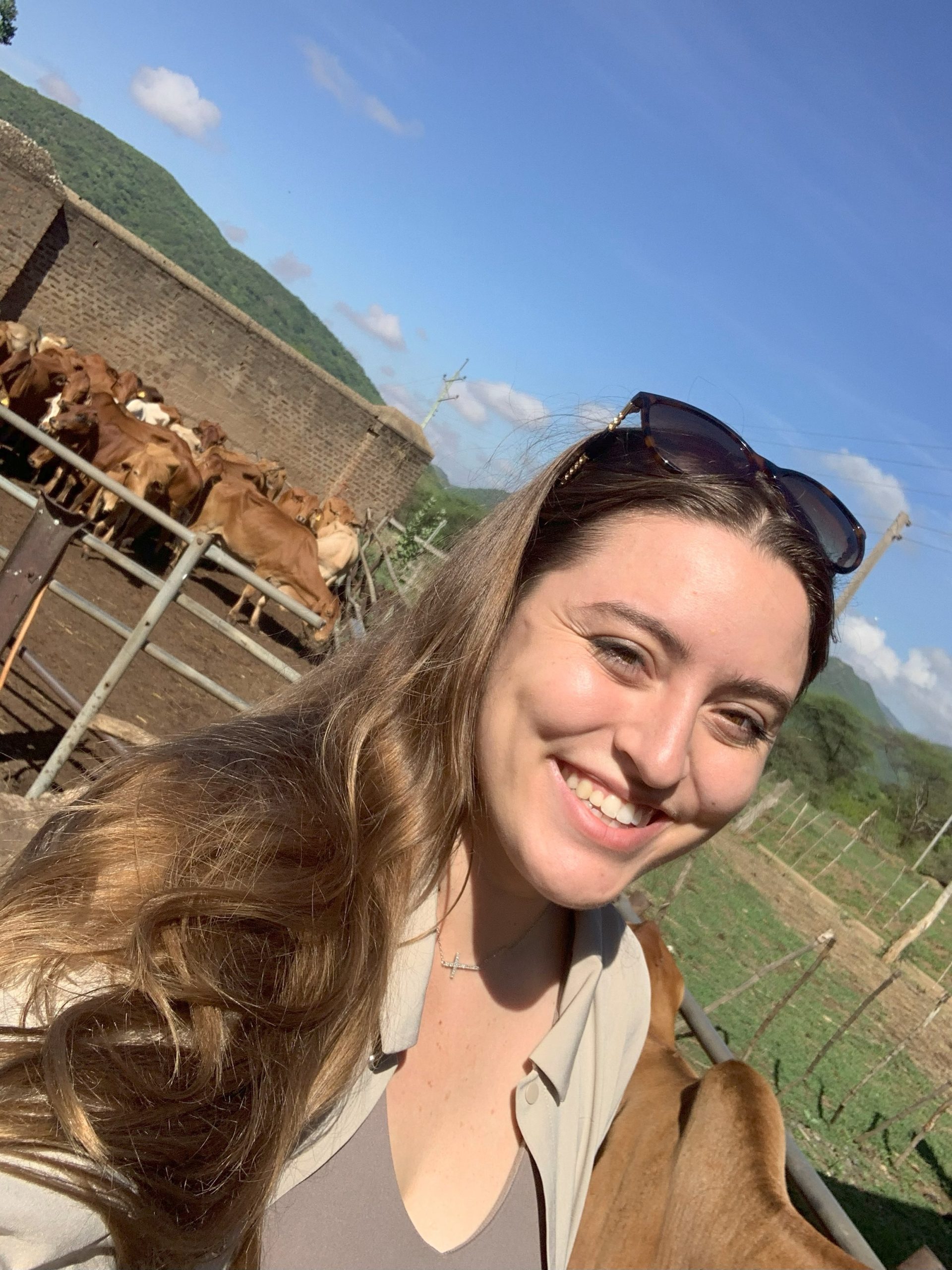 Tanzania Tropical-Adapted Cattle Project BLOG | Reproductive Biology ...