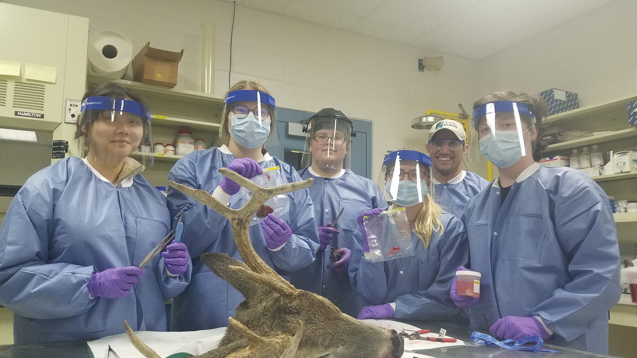 Undergrads choose their own adventure in this wildlife research group ...