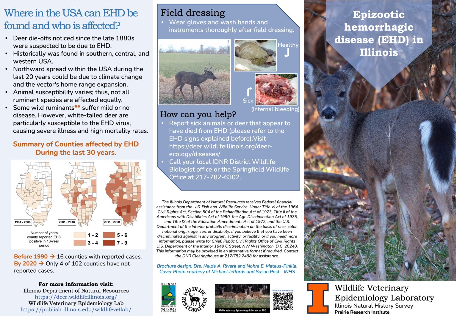 Spatial epidemiology of hemorrhagic disease in Illinois wild white ...