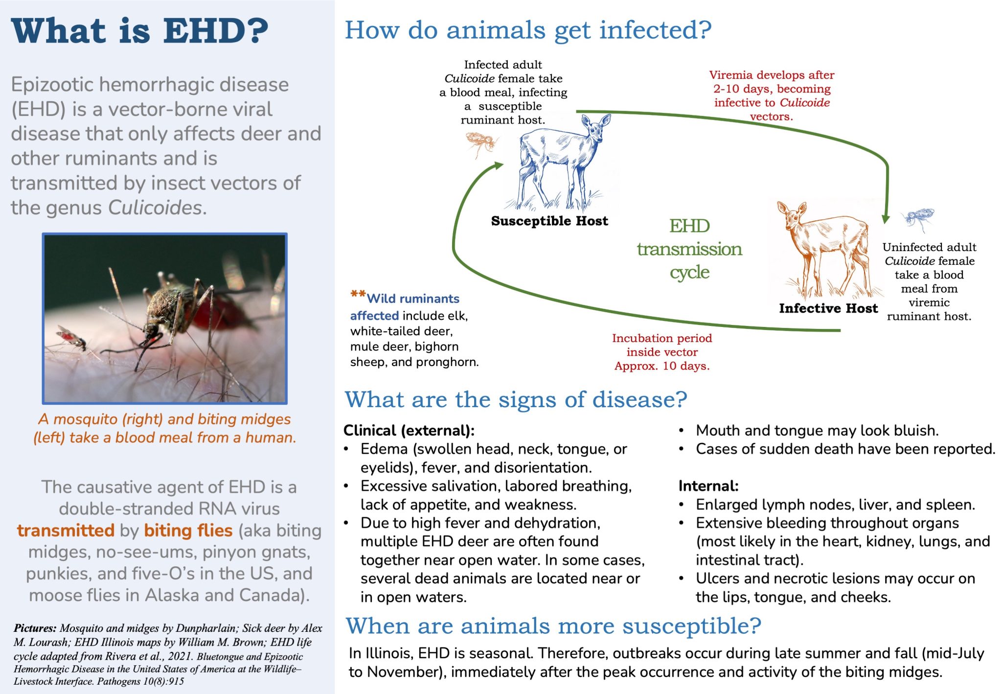 Spatial epidemiology of hemorrhagic disease in Illinois wild white ...