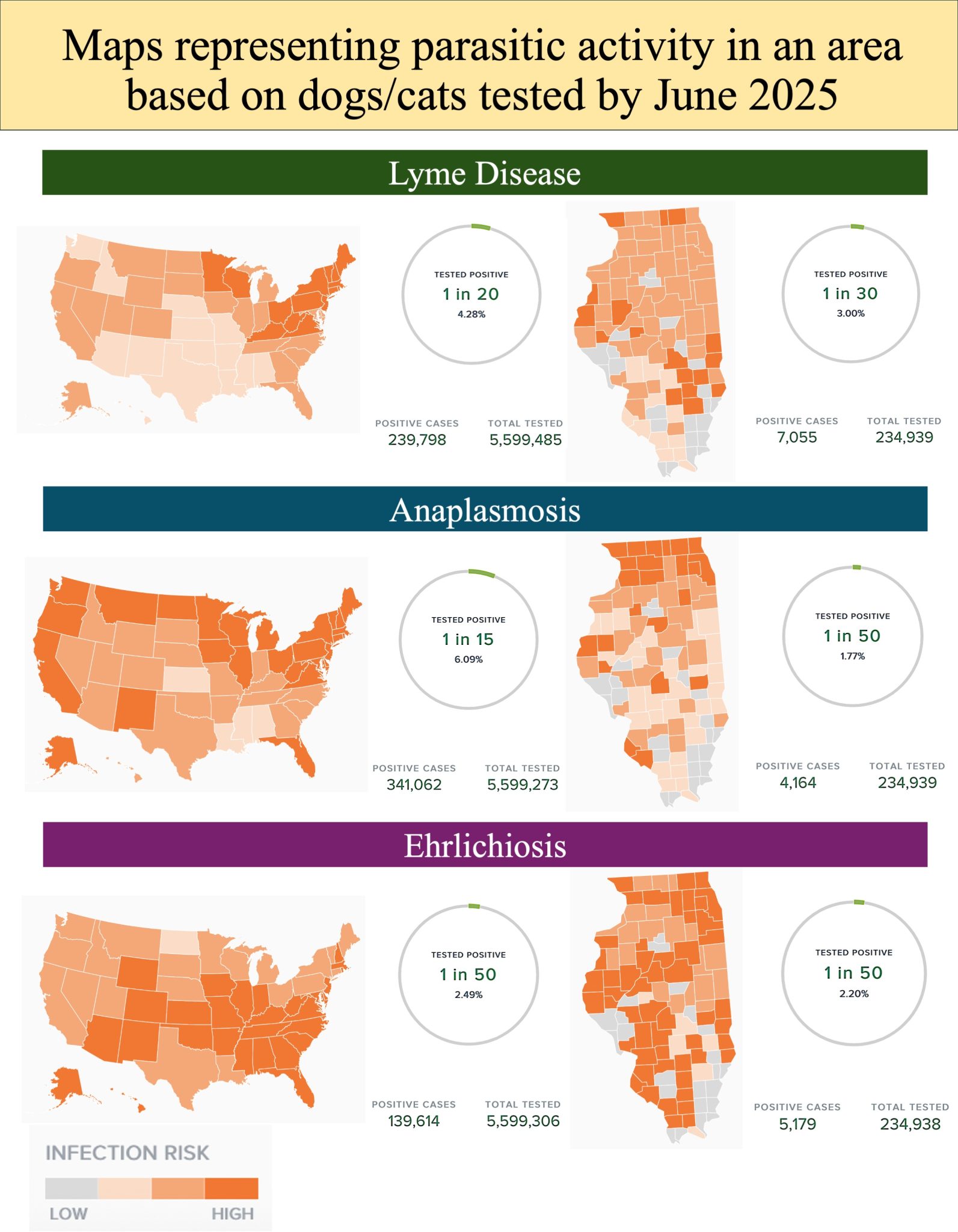 Tick-borne Diseases Can Affect Humans, Wildlife and Pets – Wildlife Veterinary Epidemiology ...