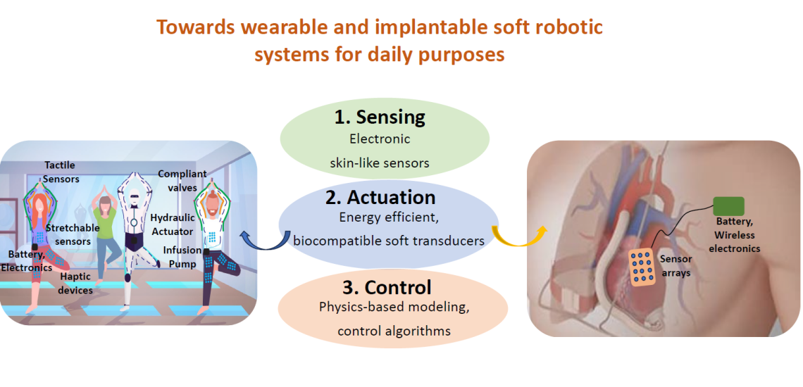 Wearable and Implantable Soft Electronics & Robotics (WISER) Laboratory ...